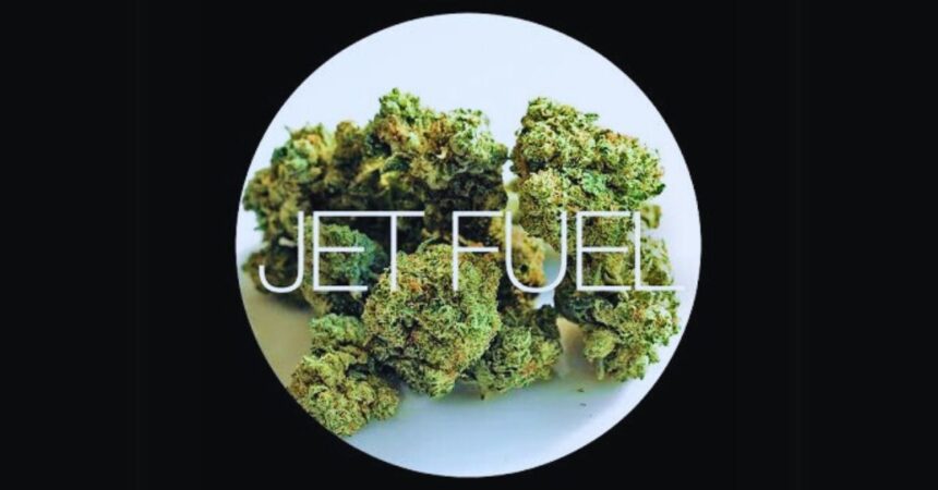 Jet Fuel Strain: Everything You Need To Know - cannabiscreativeagency.com