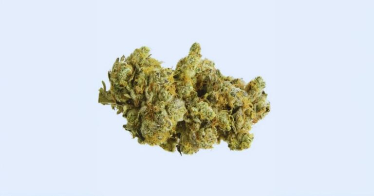 Jet Fuel Strain: Everything You Need To Know - cannabiscreativeagency.com