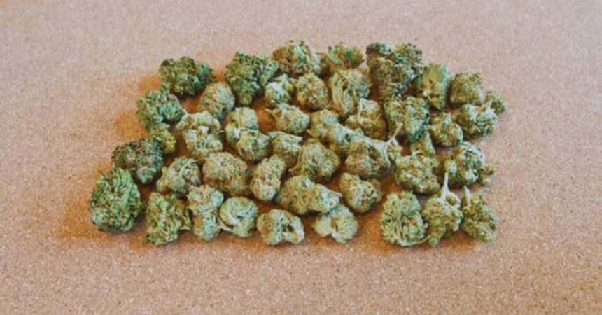 How Many Grams In An Eighth: A Simple Guide - cannabiscreativeagency.com
