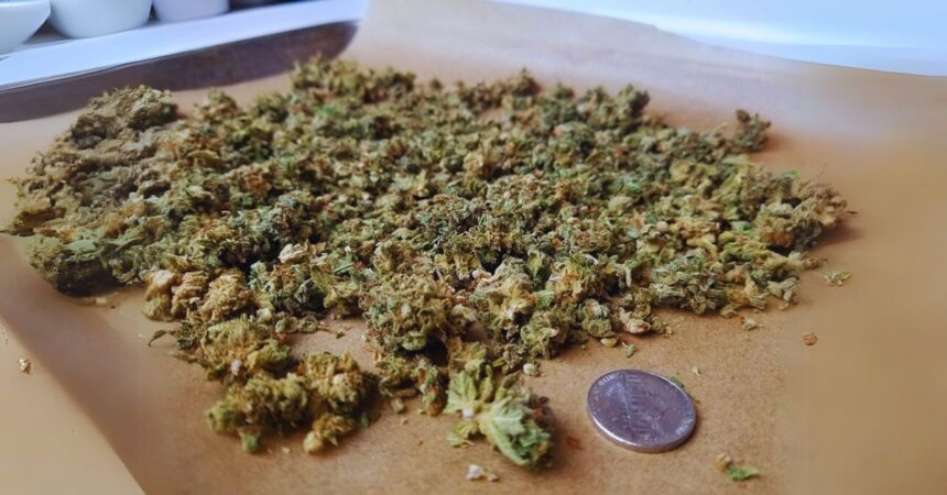 How Many Grams In An Eighth: A Simple Guide - cannabiscreativeagency.com