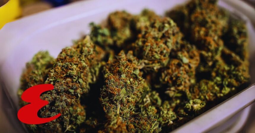 Motorbreath Strain: Everything You Need To Know ...