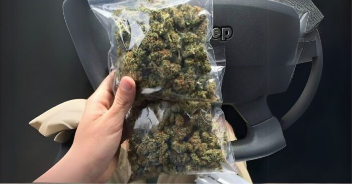 Motorbreath Strain: Everything You Need To Know ...